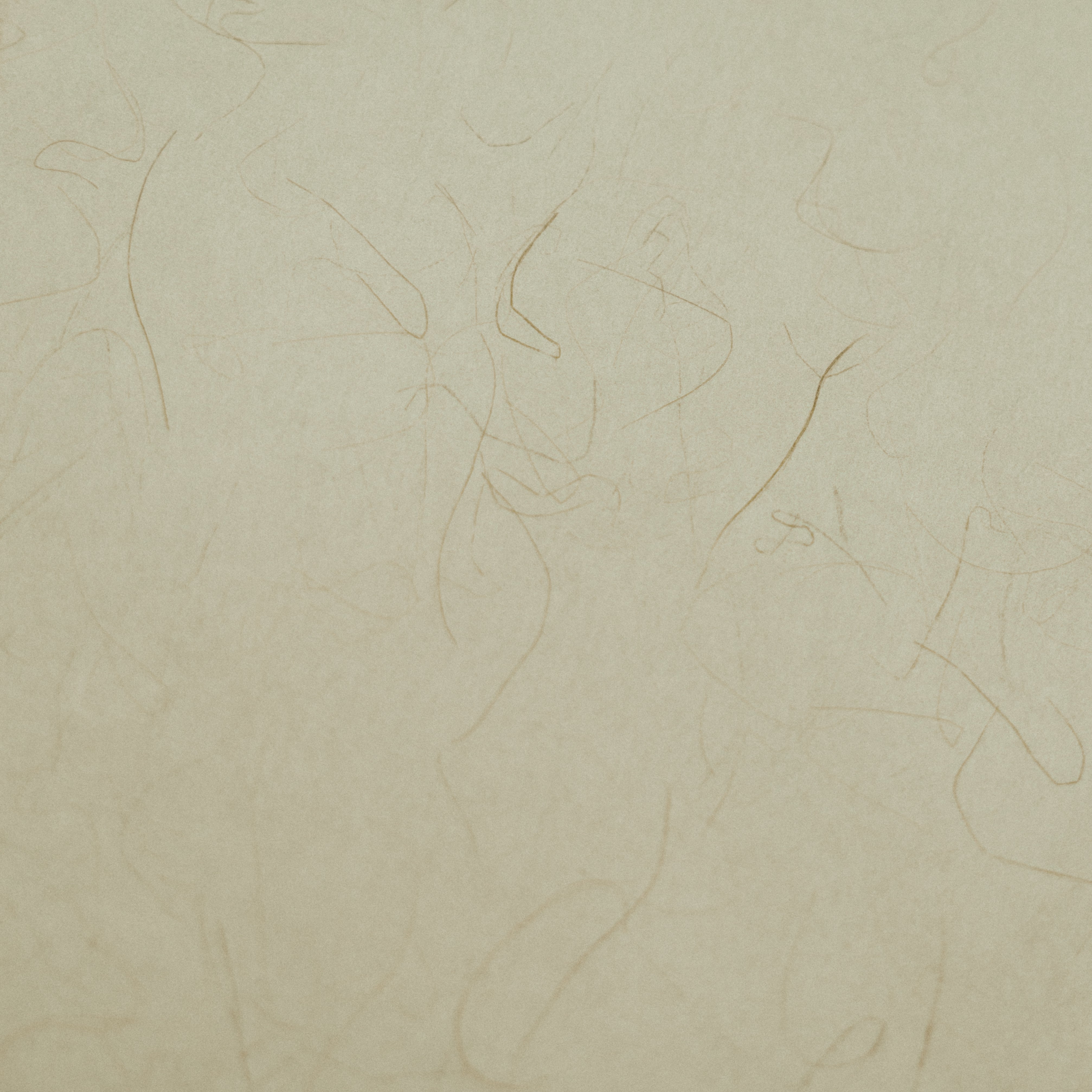 Japanese Rice Paper Texture